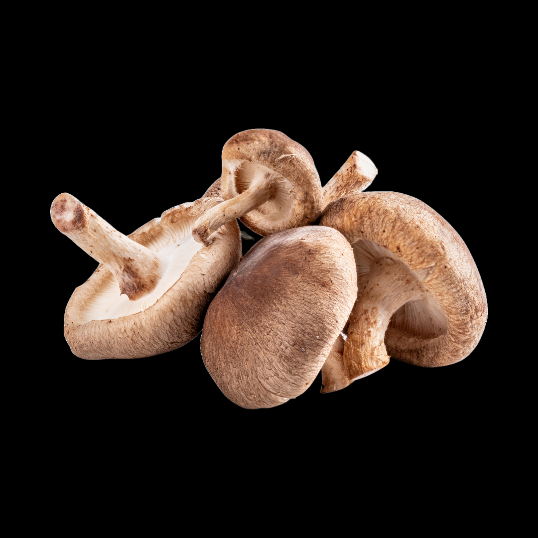 White Pearl Oyster Blue Oyster King Oyster Maitake Shiitake Portabello ...